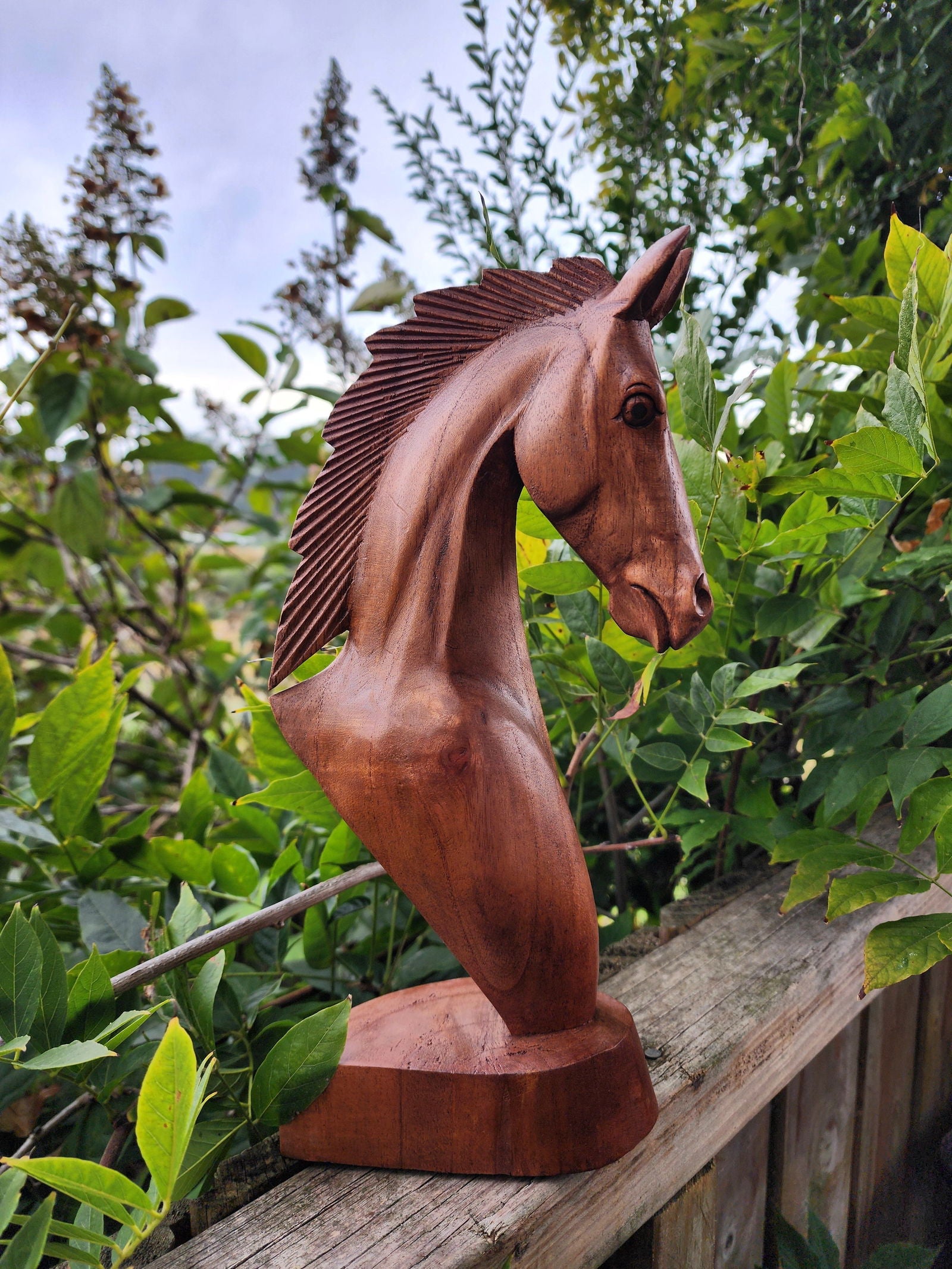 Horse Head 30cm – eKo NZ